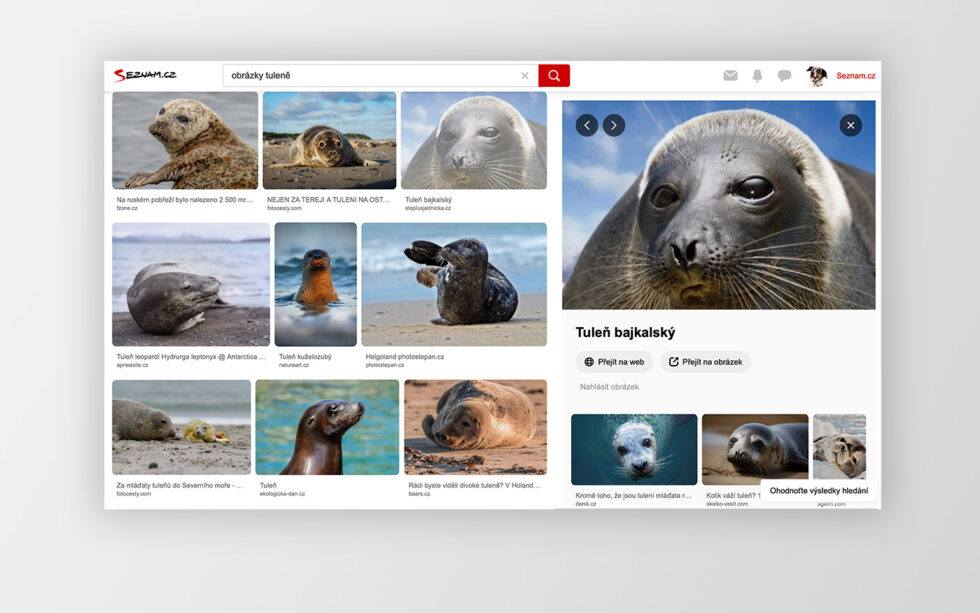 Obrázkové hledání nově zobrazuje i podobné obrázky - Blog Seznam.cz
