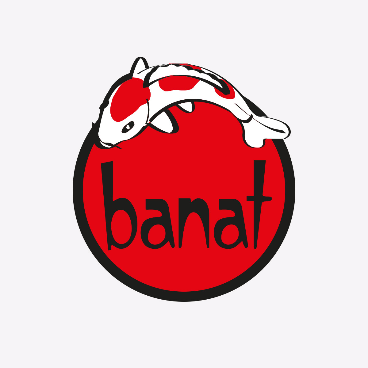 Jak jsme pomohli posílit značku Jezírka Banat pomocí interaktivní ...