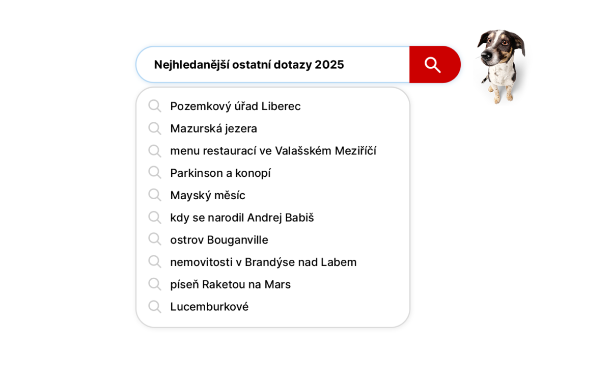 Čím se loni Češi bavili? Filmem s Hanou Vagnerovou i námořním muzeem ...